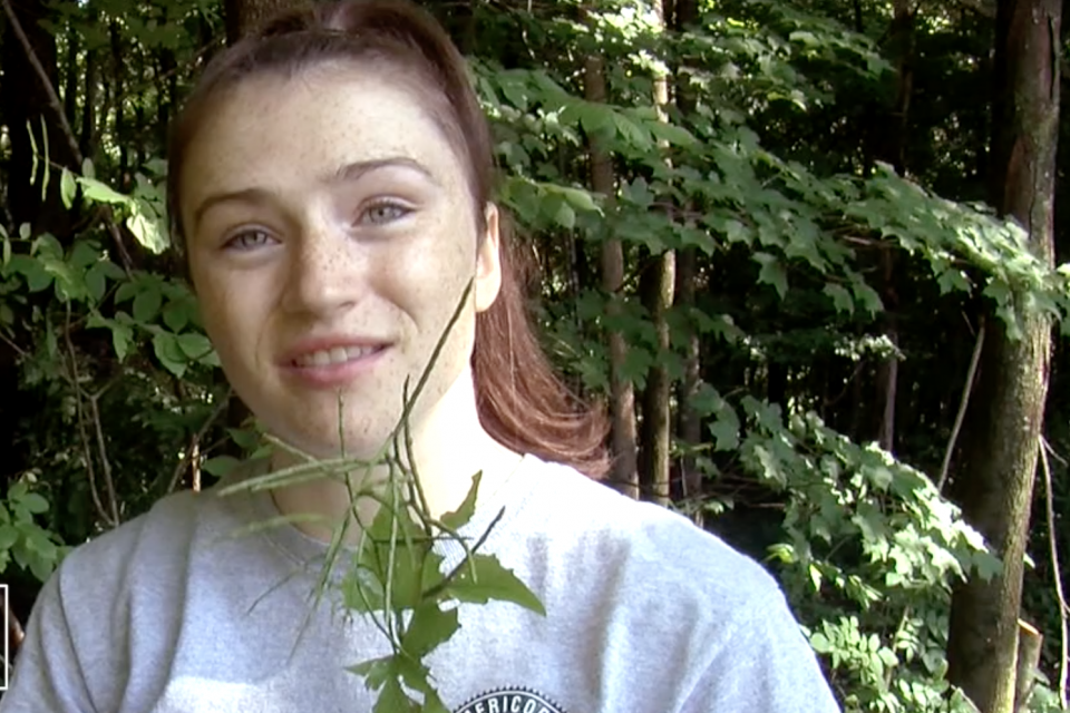 The News Project -A Garlic Mustard Recipe You Should Try – GNAT