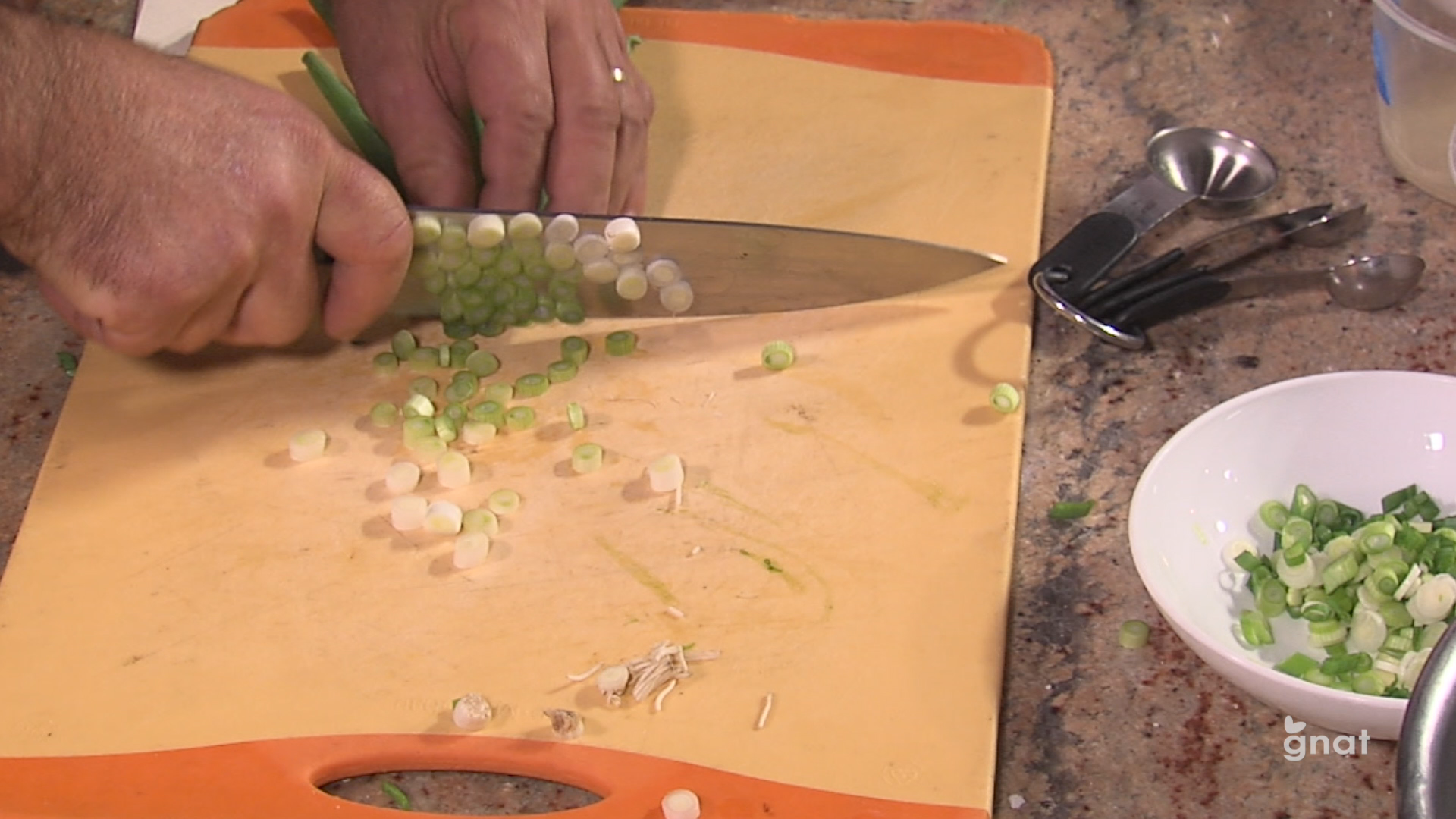 Dinner Party - Chef Ray Chen and Host Mike Corvino - GNAT-TV
