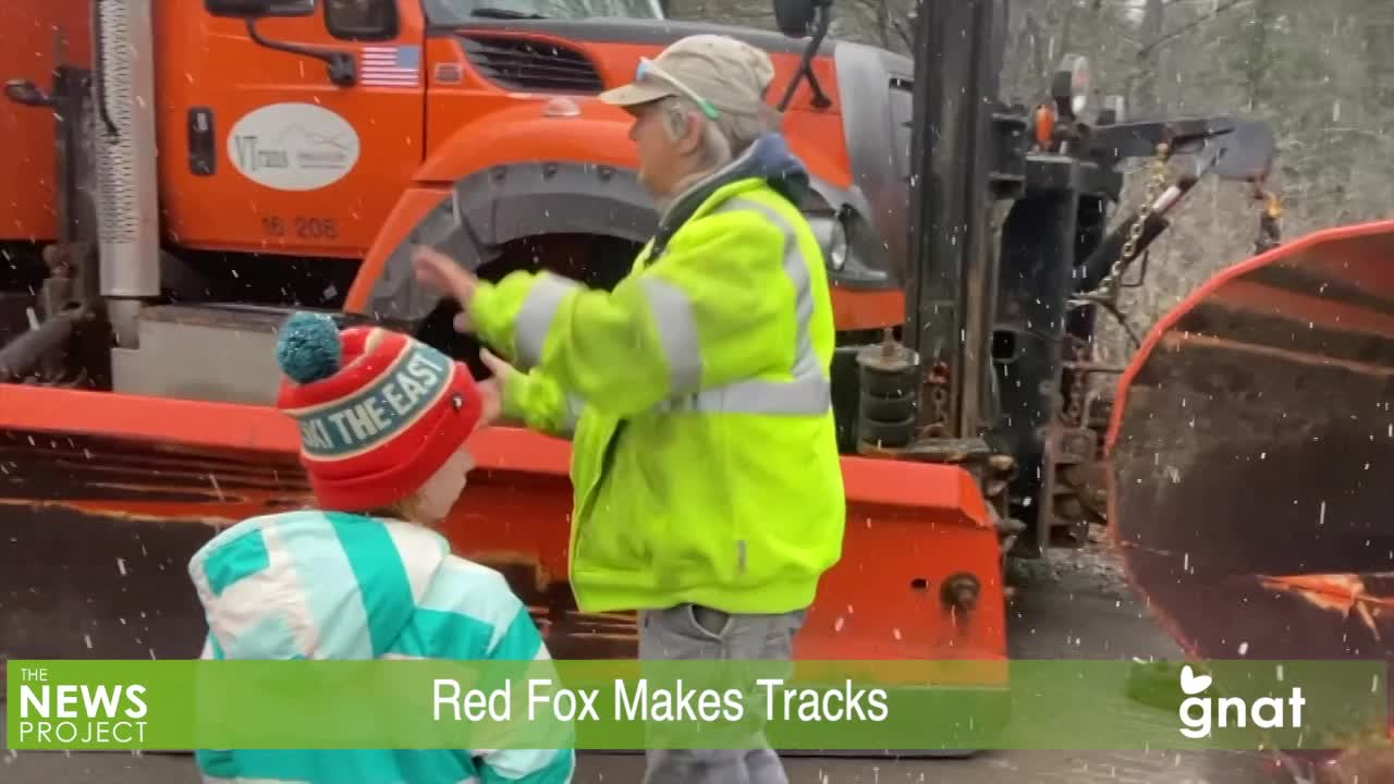 The News Project - Red Fox Makes Tracks - GNAT-TV