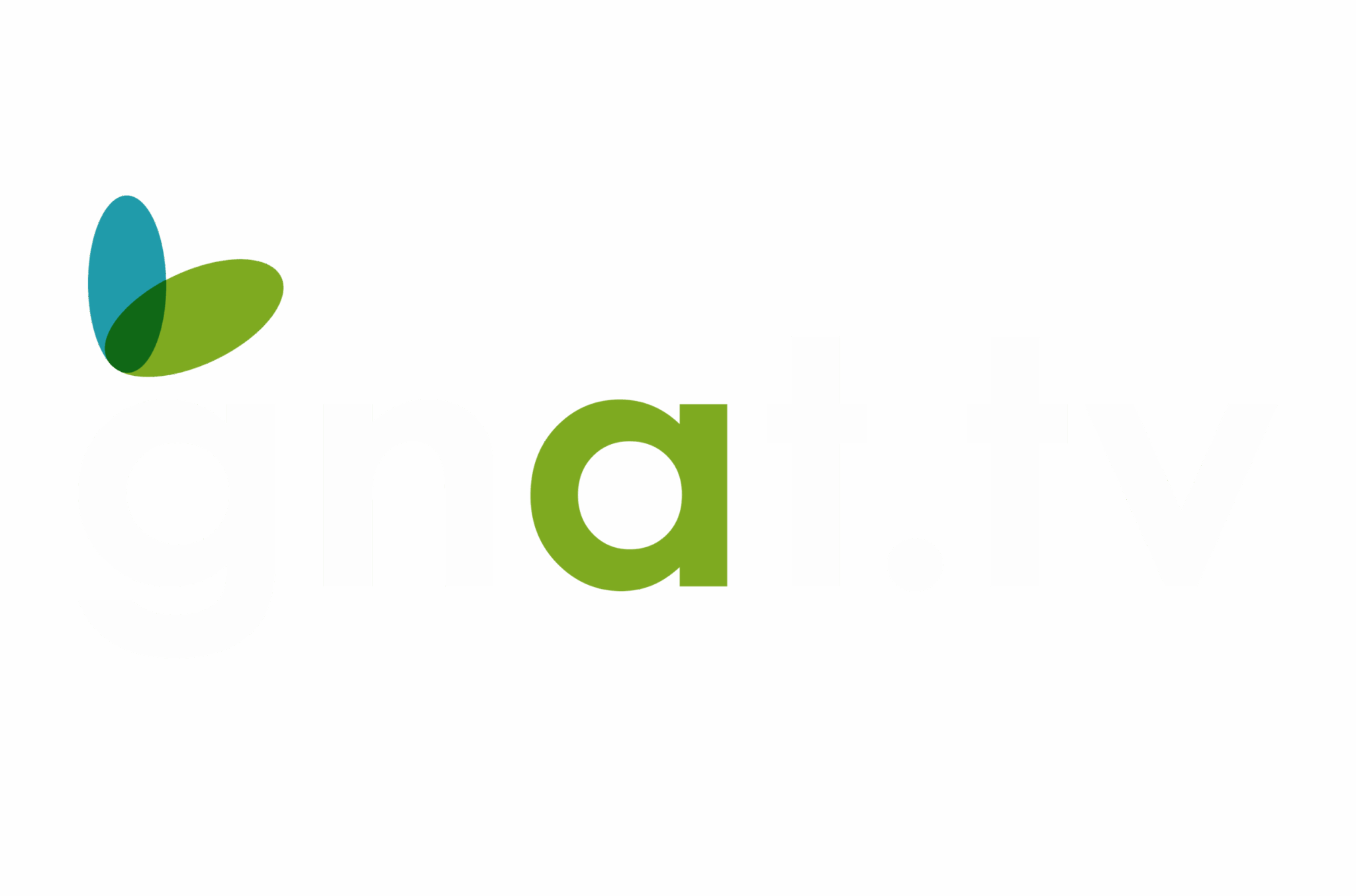 Decades in the Making - GNAT-TV